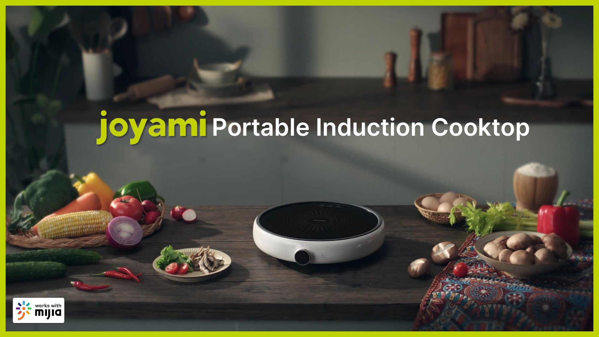 joyami Portable Induction Cooktop EU